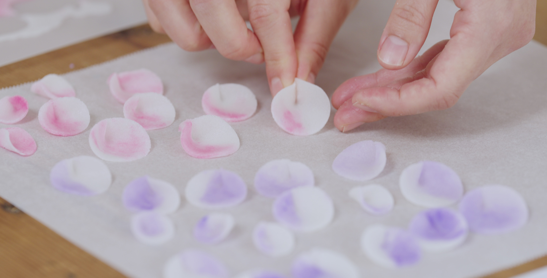 POLA 「+ Design Project」 | Works| Mucha-Kucha Inc.