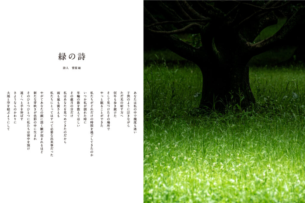 Akasaka Intern City Poem 「FEEL NATURE」 | Works| Mucha-Kucha Inc.